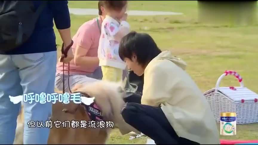 华晨宇看到狗狗乐的不行,黄景瑜还撒娇,呼噜呼噜毛好可爱