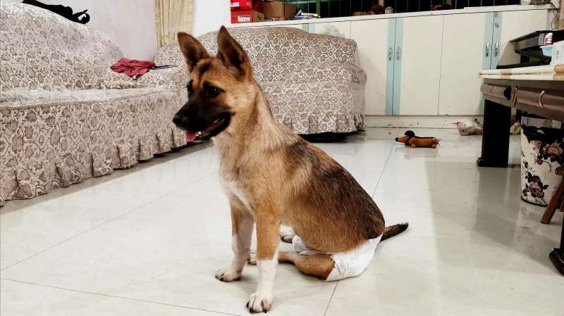 160来大姨妈,第一次穿纸尿裤,整个狗都不好,路都走不动了