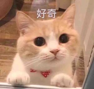 解说豆包 