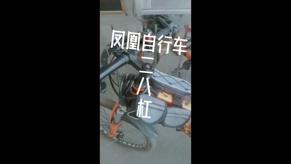 从80年代骑的是凤凰自行车,凤凰自行车是上海,这个更合适。