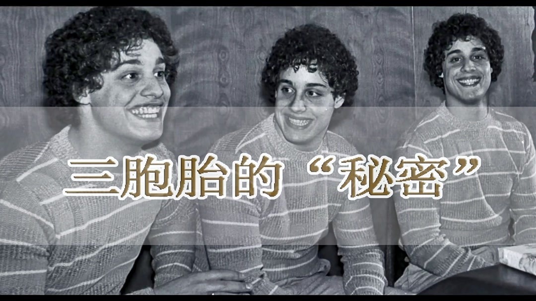 隐瞒20年的真相:三胞胎被分开领养多年,相遇后发现竟是一场阴谋