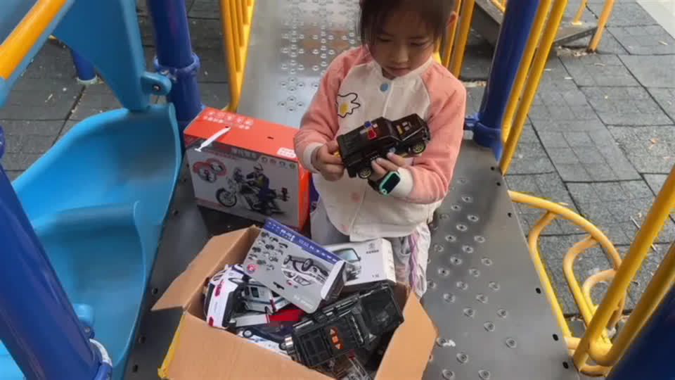 如果有人说滑梯上有很多合金警车模型玩具