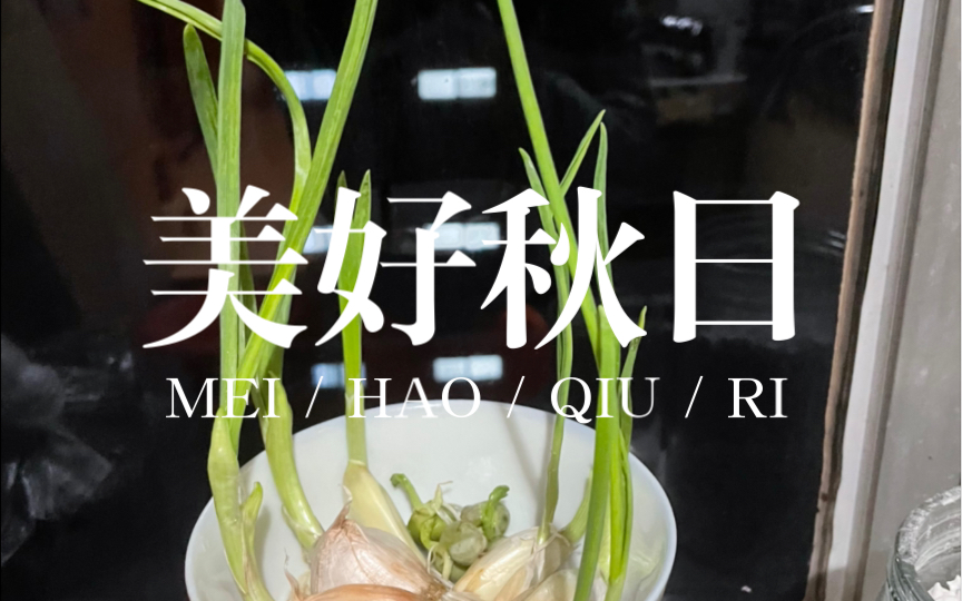 隔离期大蒜成长记录