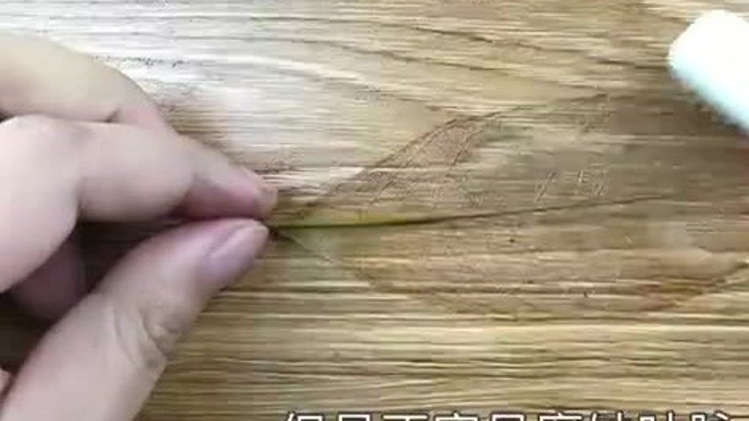 透明叶子的制作,在家用洗衣粉,就能做出彩色的透明叶脉书签