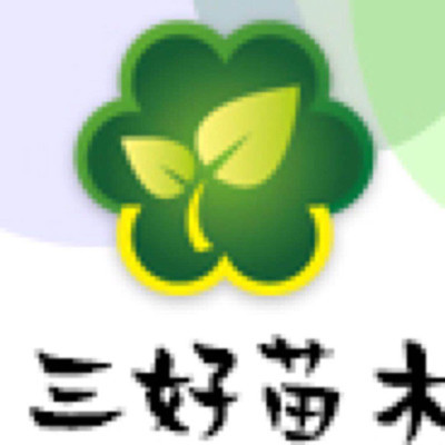 山东三好苗木基地 