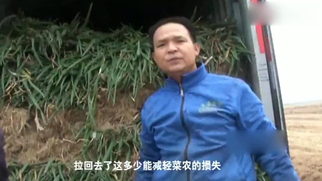 【拍客】菜农大葱售300一亩网友购葱送环卫