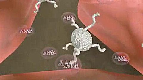 我在血小板血栓形成动画_高清截了一段小视频