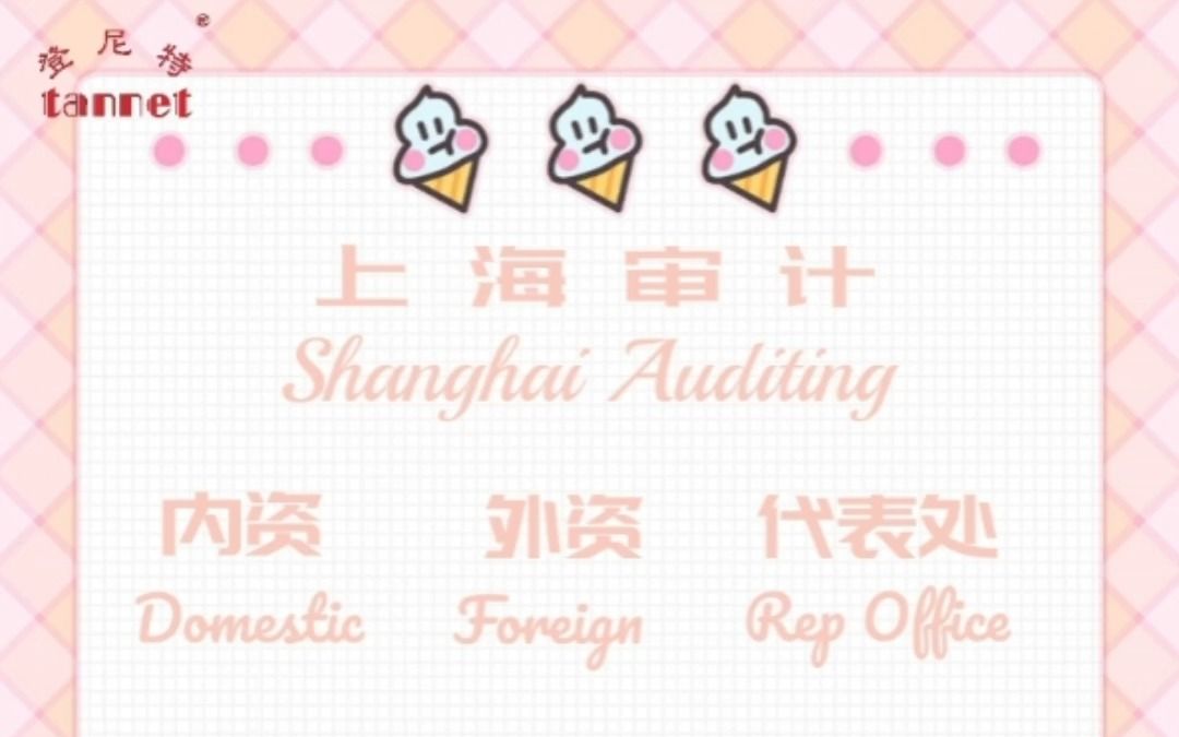 上海公司审计