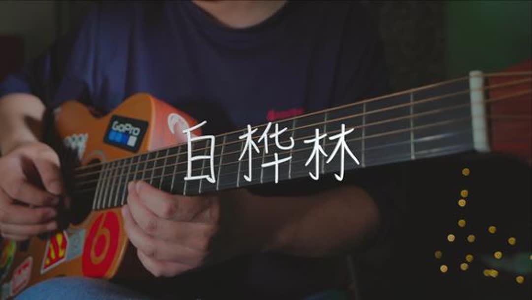 吉他弹唱朴树《白桦林》一首经典老歌