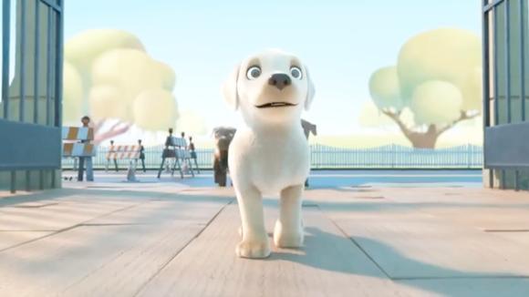 超励志的动画短片,一件事让小奶狗实现人生梦想,分分钟被萌哭!