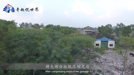 印度最大垃圾场,生活的鸟比人还大,贫民吃垃圾也不吃它们!