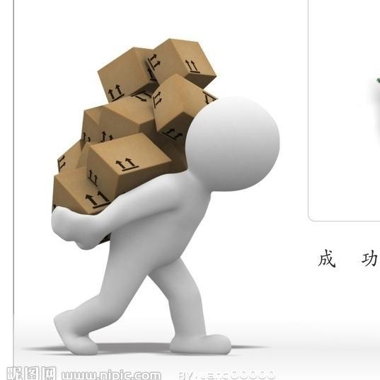 奋斗的白小白 