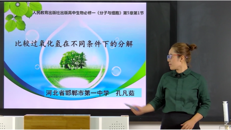 比较过氧化氢在不同条件下的分解