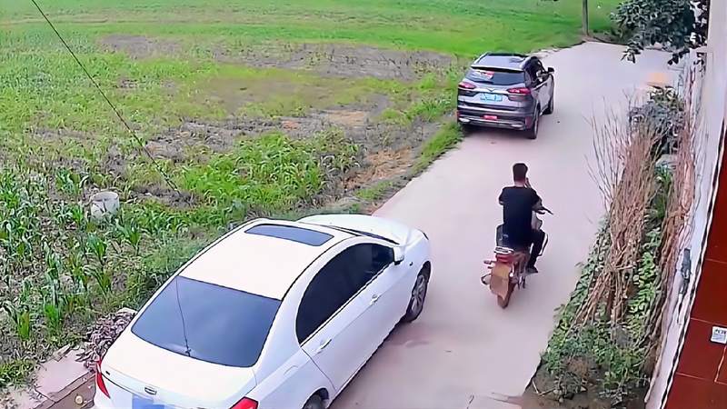 监控下的正能量:猫咪被狗群撕咬,两位猛男看不下去了!