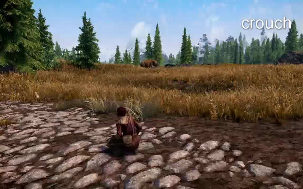 上古卷轴5modnpc会根据天气和自身状态做出动作