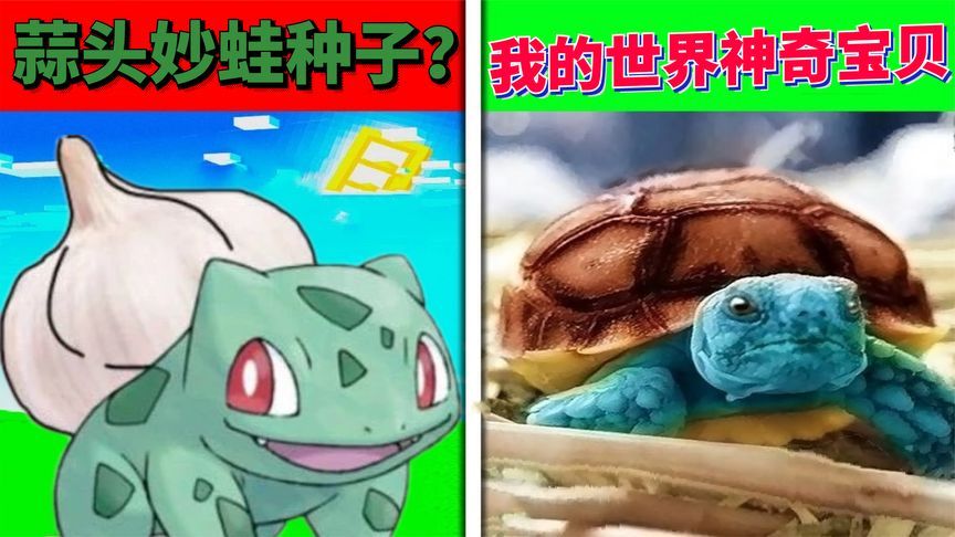 精灵王国 宝可梦我的世界罗修:就决定是你了蒜头妙蛙!