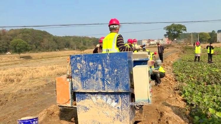 我市高标准农田建设稳步推进