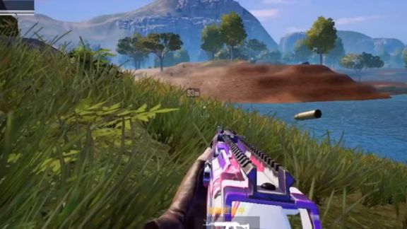 和平精英巡查记录