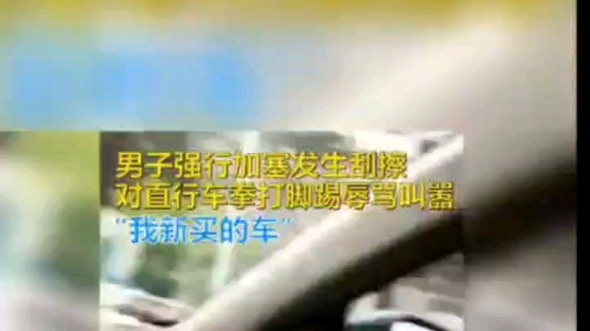 燕子,没有你我怎么活!
