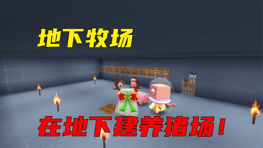 迷你世界生存12:皮皮余挖空地下,扩建大牧场养猪!