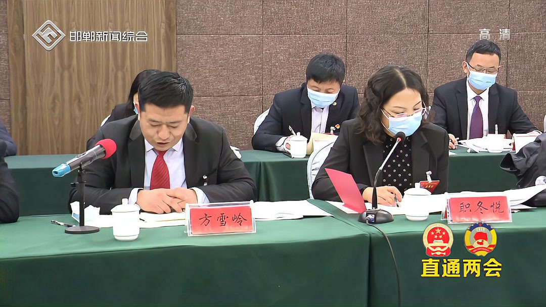 人大代表分组审议市人大常委会工作报告和两院工作报告