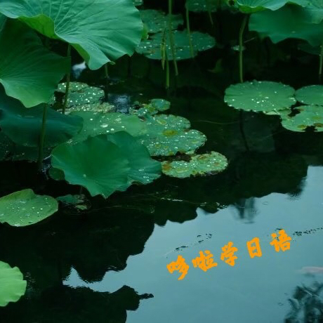 哆啦学日语 