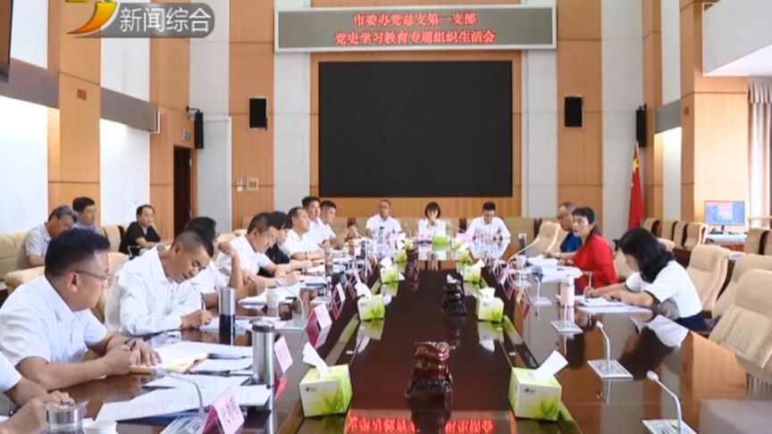 「丽江热线」浦虹参加市委办党总支第一支部党史学习教育专题组织...