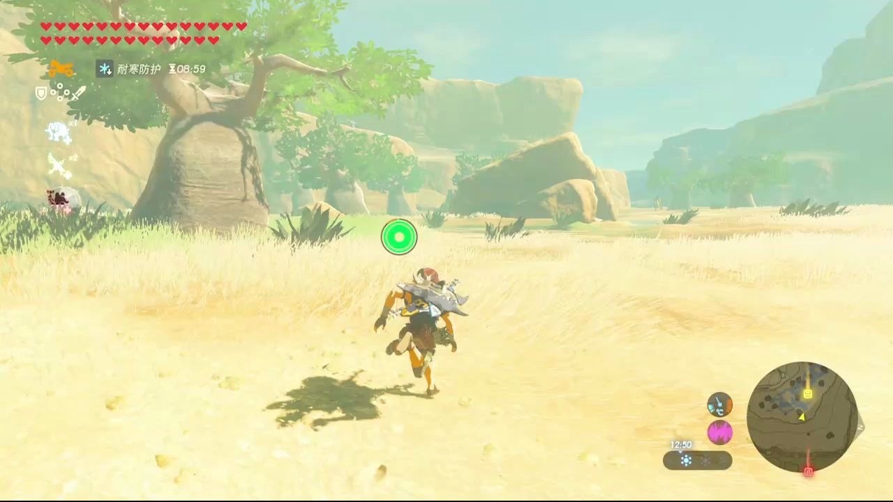 【塞尔达传说】林克:我只是想开个宝箱