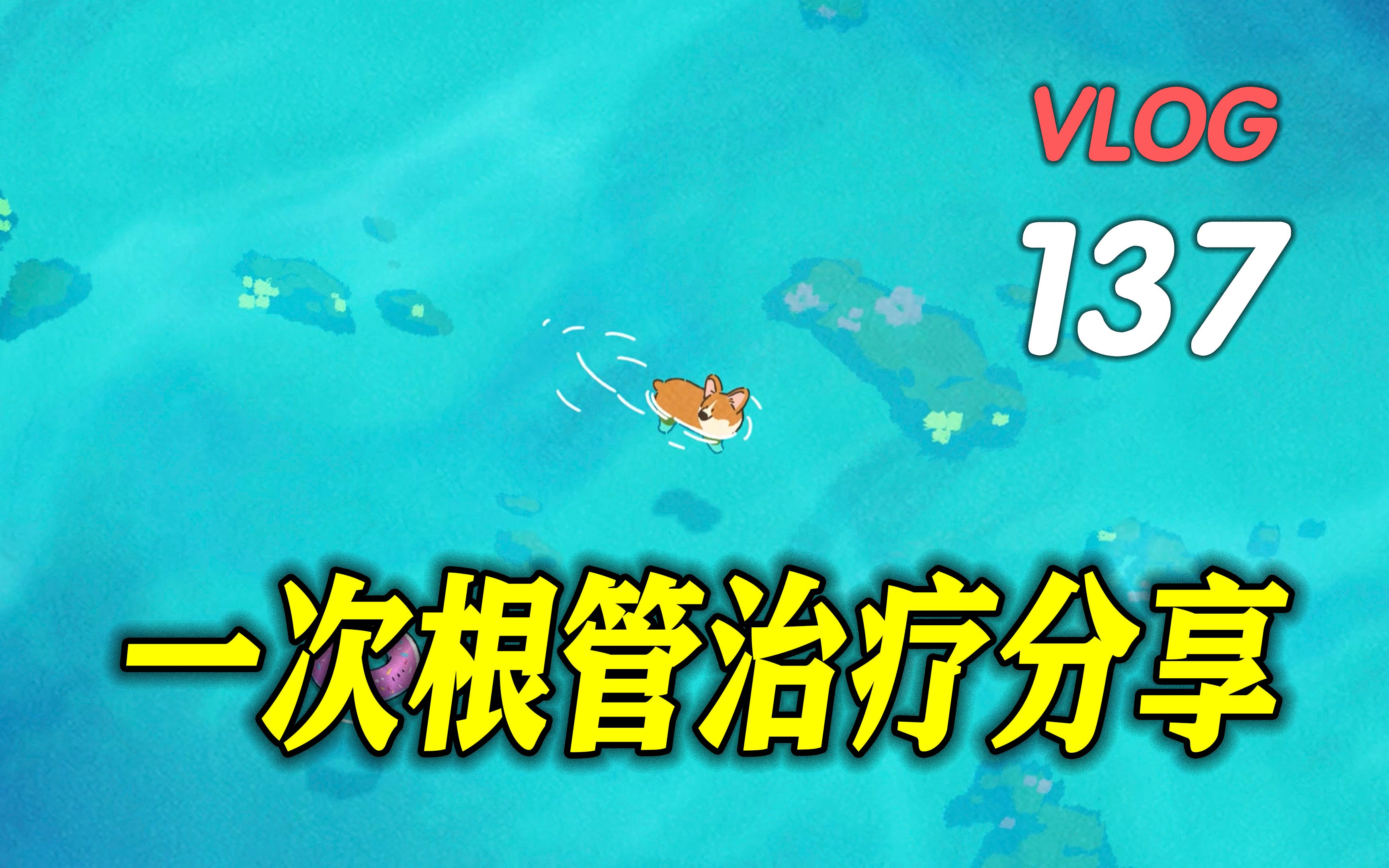 一次根管治疗的分享-VLOG137