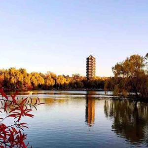 北京大学招生办 