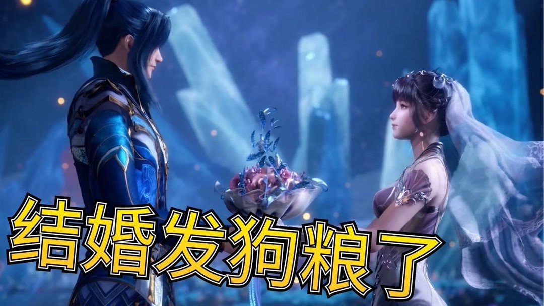 斗罗大陆:唐三和小舞经历千难万险,终于结婚了