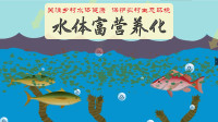 农村乡间河流、水质的变化让人心疼,关注水体富营养化,保护家乡