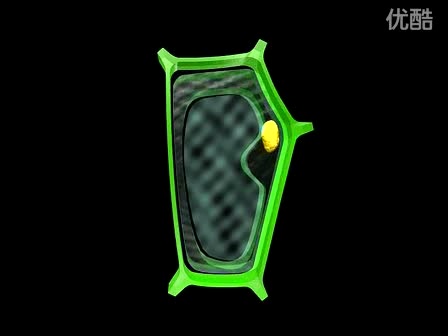 高中生物动画3D视频生命的基本单位细胞:质壁分离