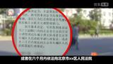 交通违章缠身 怎么申请复议才能不被坑钱