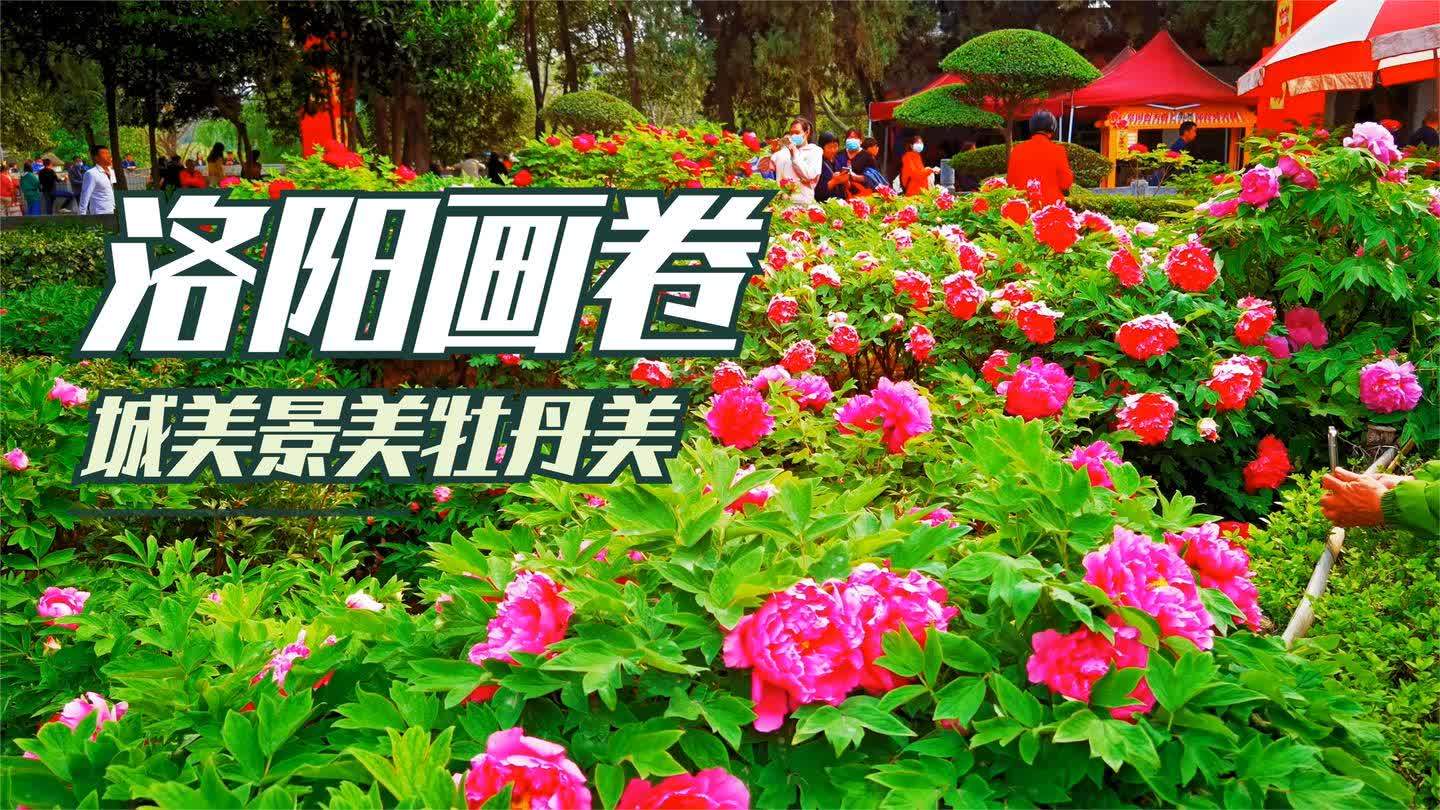 古都洛阳是一幅水墨画,画面不但有历史的厚重感,还有诗和远方