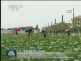[视频]今年我国将建立不动产统一登记平台