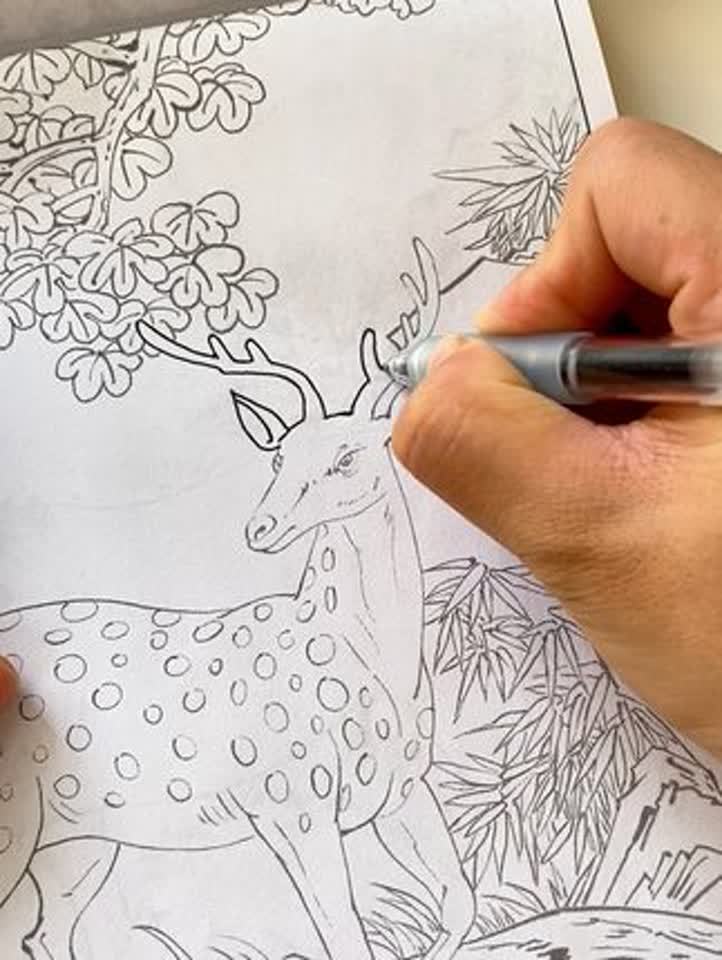 给孩子准备了这套线描