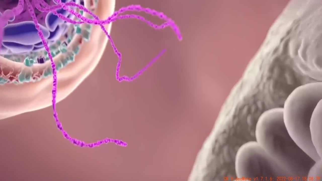 科普!如果感染了新冠病毒会怎样?看完后我赶紧去打疫苗