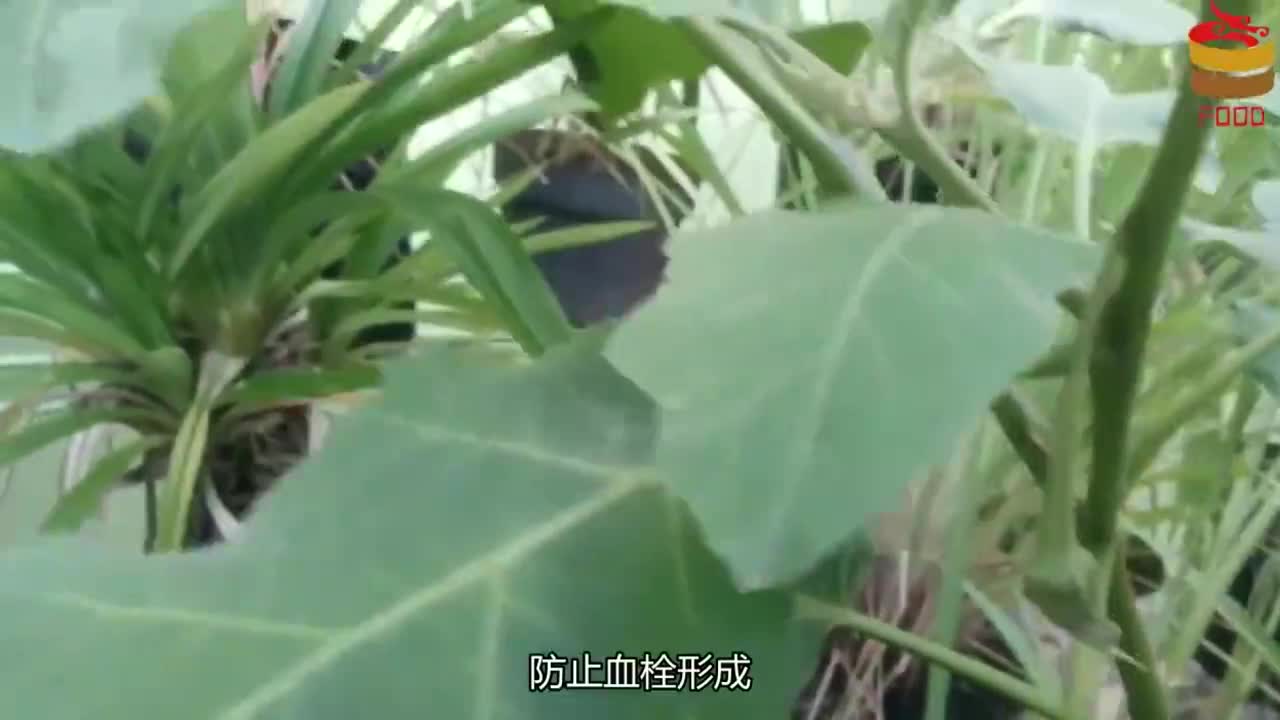 脑血栓“元凶”找到了,再想吃也不要碰,小心血管被堵塞