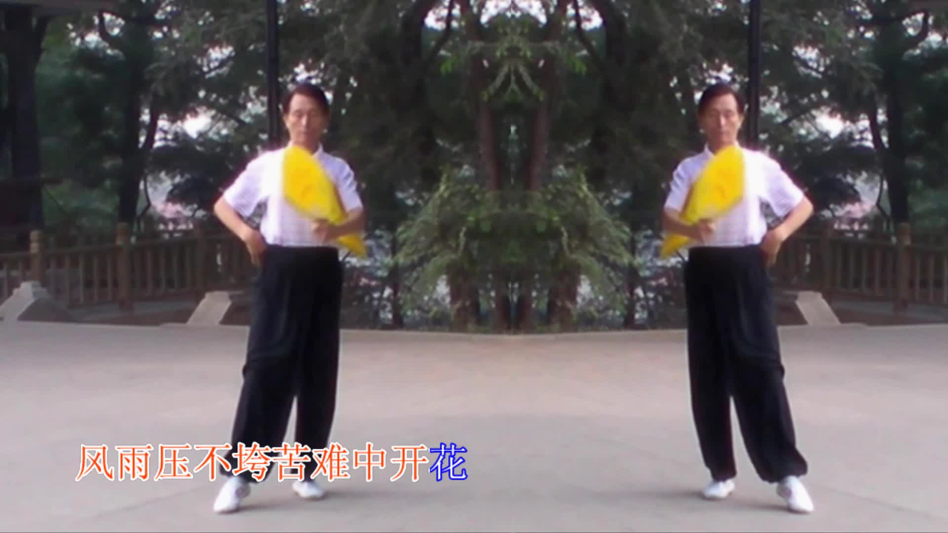 会声会影翻转遮罩贞的应用中华乾坤扇