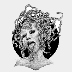 美杜莎艺术工作室 