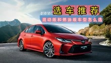 选车推荐:混动版和燃油版车型究竟该怎么选?
