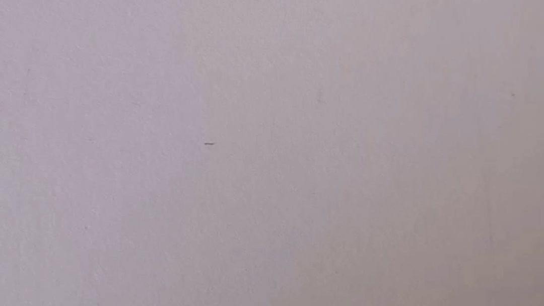 抗疫主题画