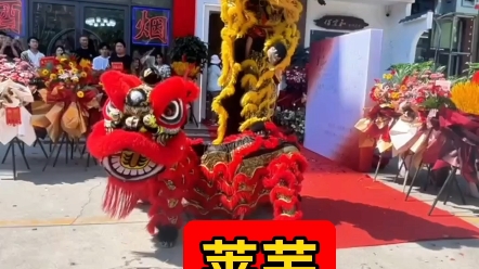莱芜舞狮表演·莱芜开业庆典策划·莱芜庆典演出·沂源庆典演出公司...