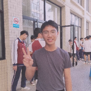 爱嘴炮的猪某人 