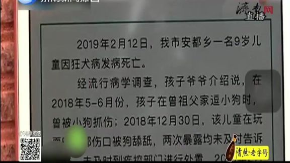 大型犬发狂,咬伤十几人,热心市民奋力追赶,最终也没躲过