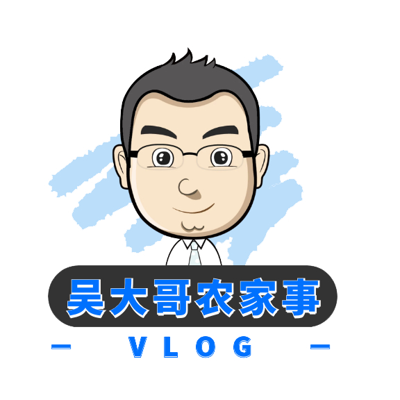 吴大哥农家事VLOG 