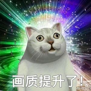皮皮瞪眼猫 