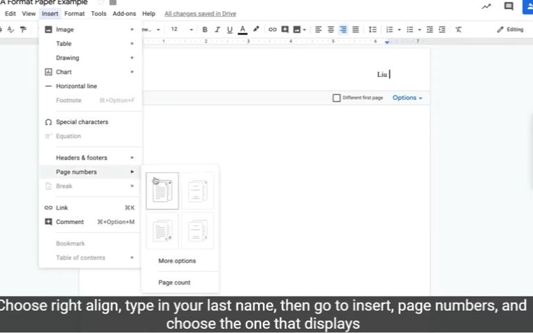 MLA格式Essay写作视频教程