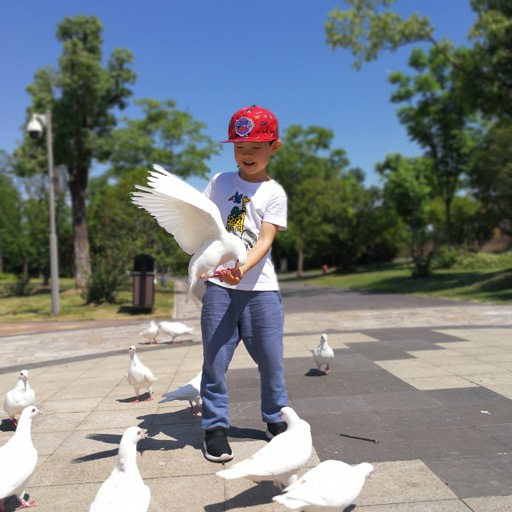 九岁盟悦馨海豚音歌手 